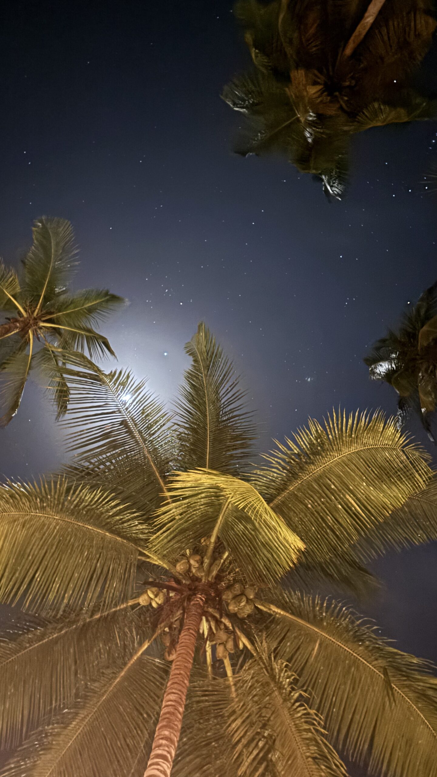 TEMPORADA DE ECLIPSES 2025 - Paula Silva